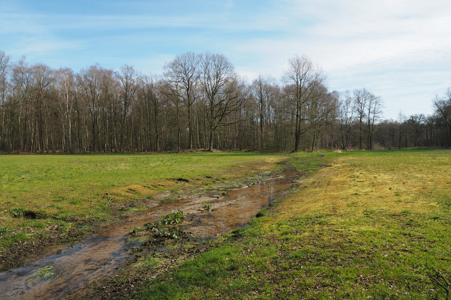 Slenken in het Lonnekermeer